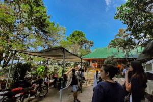 Hiking Mount Pulag for the First Time – Graphic Wanderlust