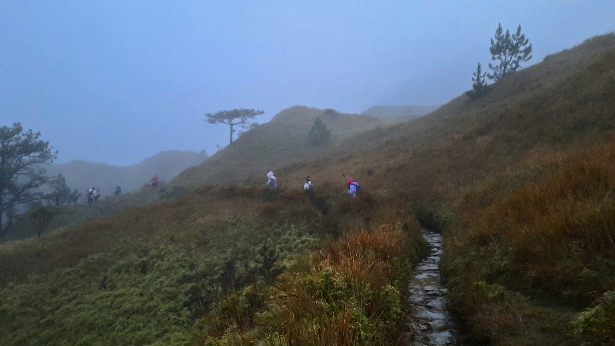 Hiking Mount Pulag for the First Time – Graphic Wanderlust