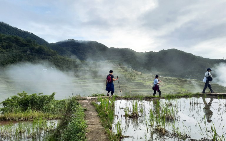 Discovering Maligcong’s Gems: Hiking Mt. Kupapey, Mt. Fato and ...