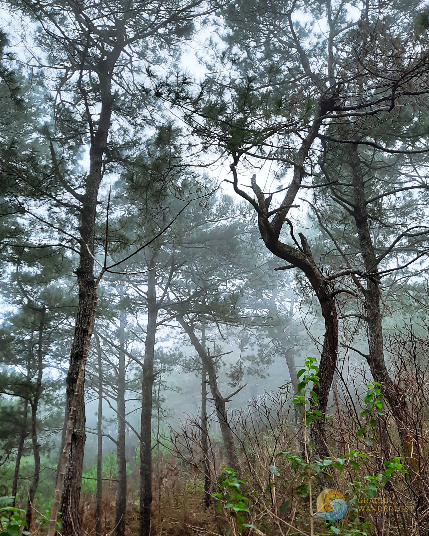 Discovering Maligcong’s Gems: Hiking Mt. Kupapey, Mt. Fato and ...