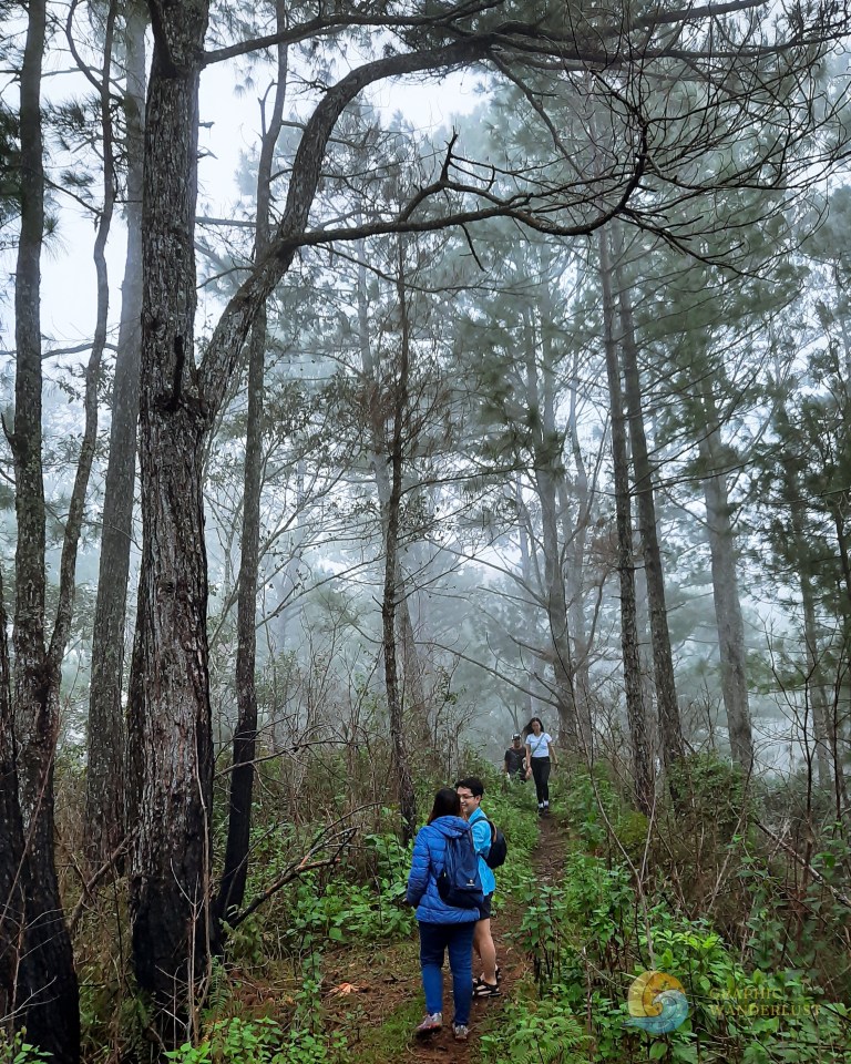 Discovering Maligcong’s Gems: Hiking Mt. Kupapey, Mt. Fato and ...