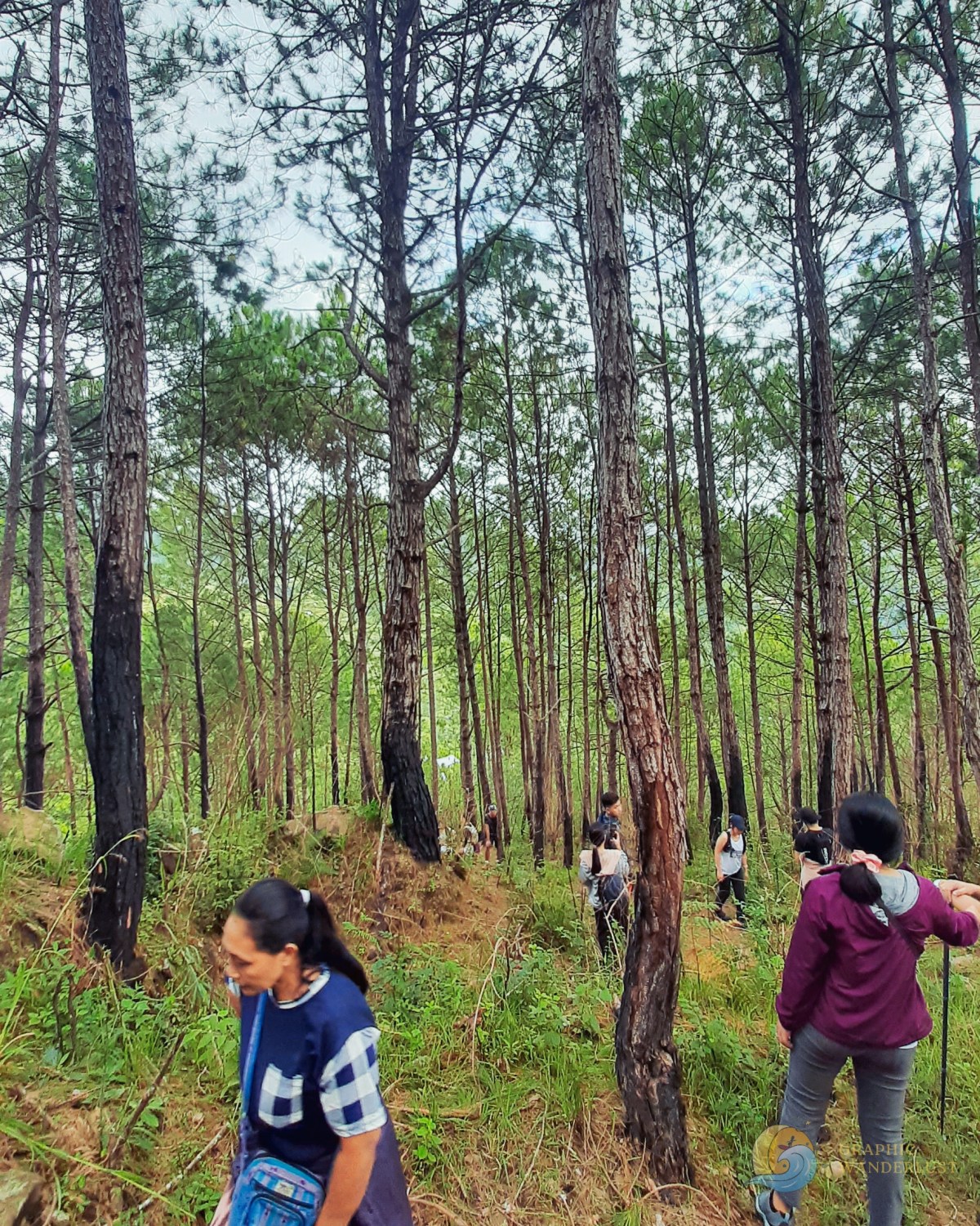 Discovering Maligcong’s Gems: Hiking Mt. Kupapey, Mt. Fato and ...