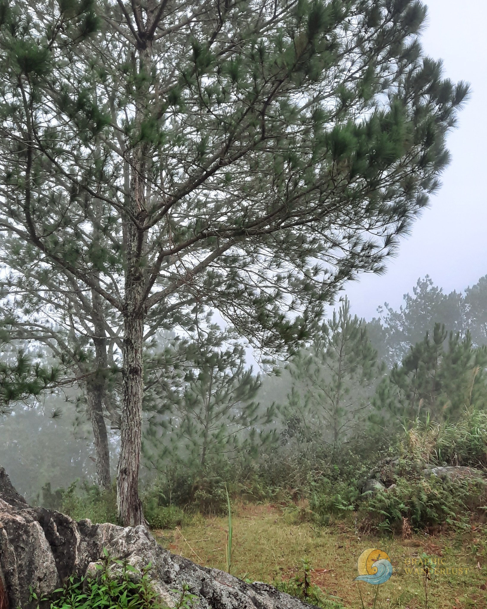 Discovering Maligcong’s Gems: Hiking Mt. Kupapey, Mt. Fato and ...